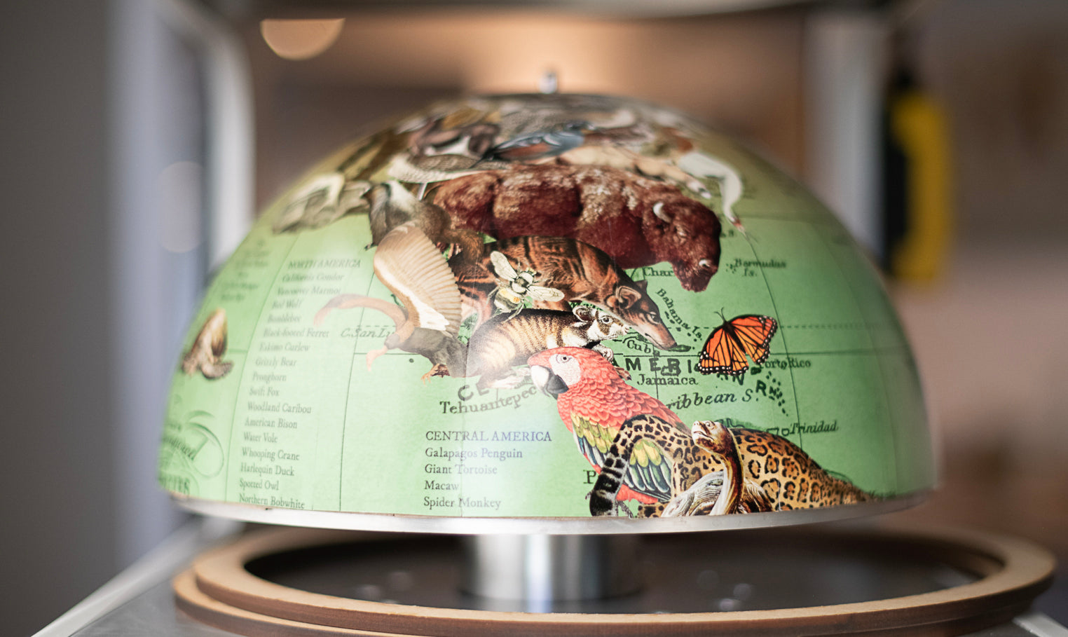 Handmade Globes by Wendy Gold | Sustainable, Artistic, One-of-a-Kind