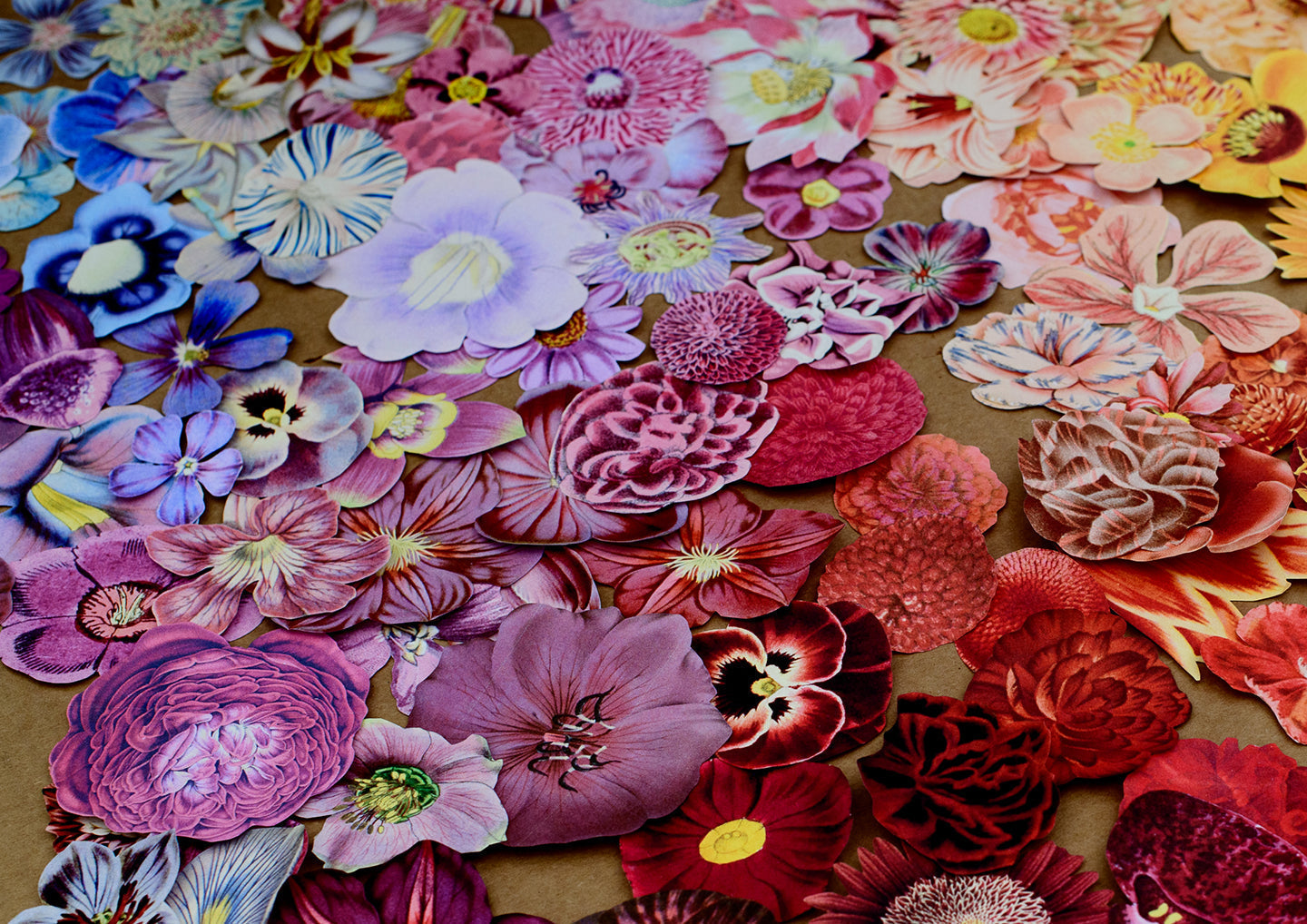 Why We Create: Imagining a More Beautiful World – Wendy Gold