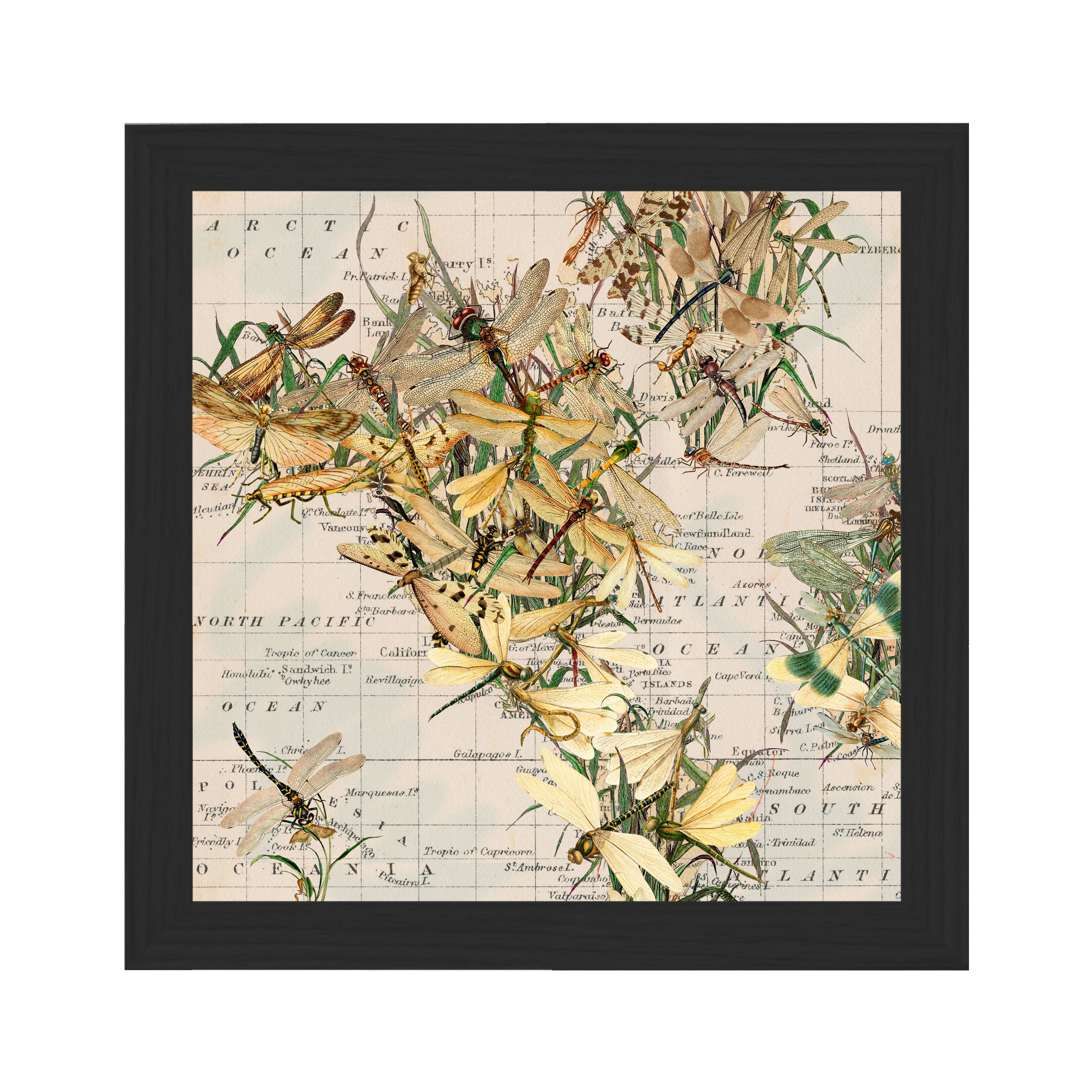 Dragonfly World Collaged Map Art Vignette – Wendy Gold