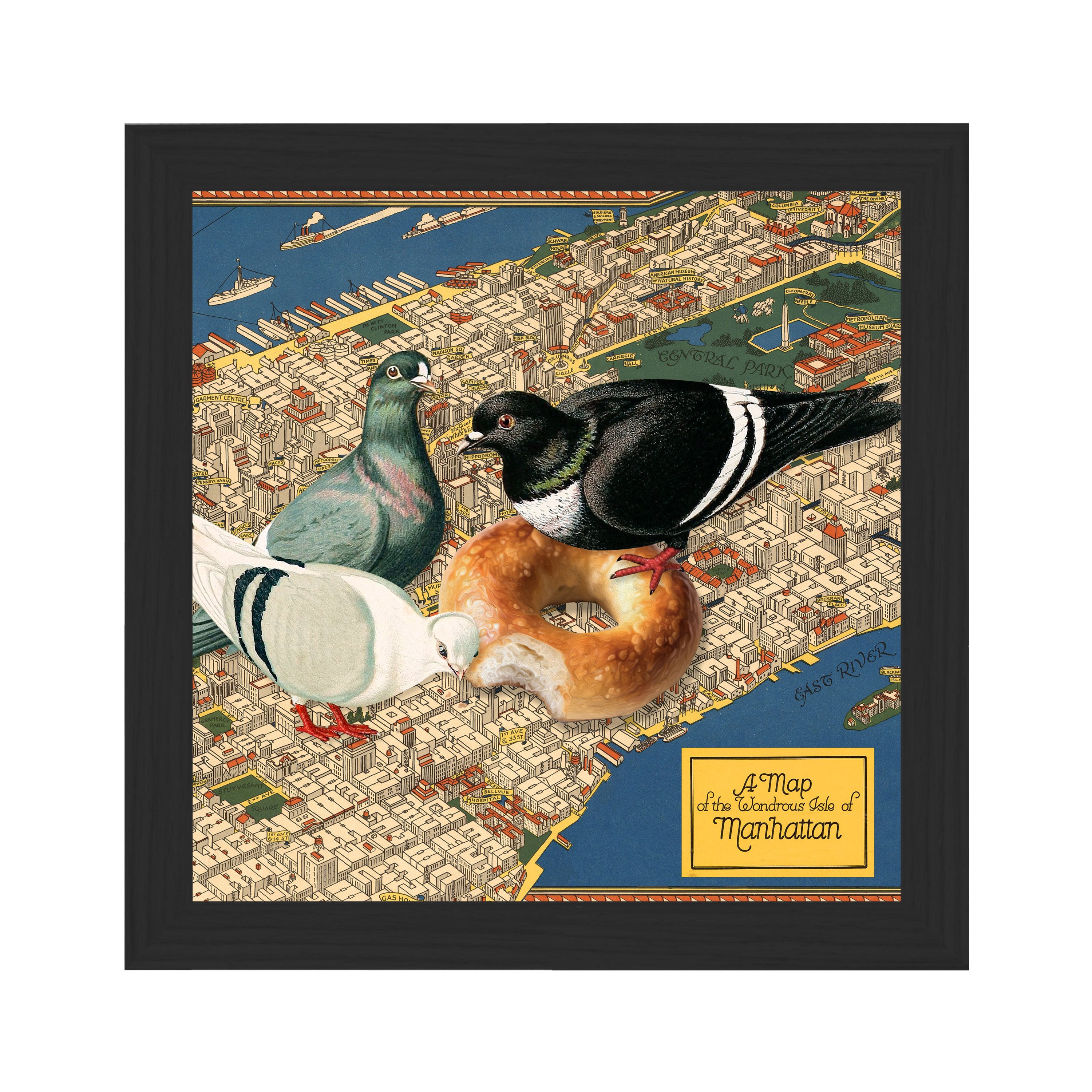 New York City Birds Collaged Map Art Vignette – Wendy Gold