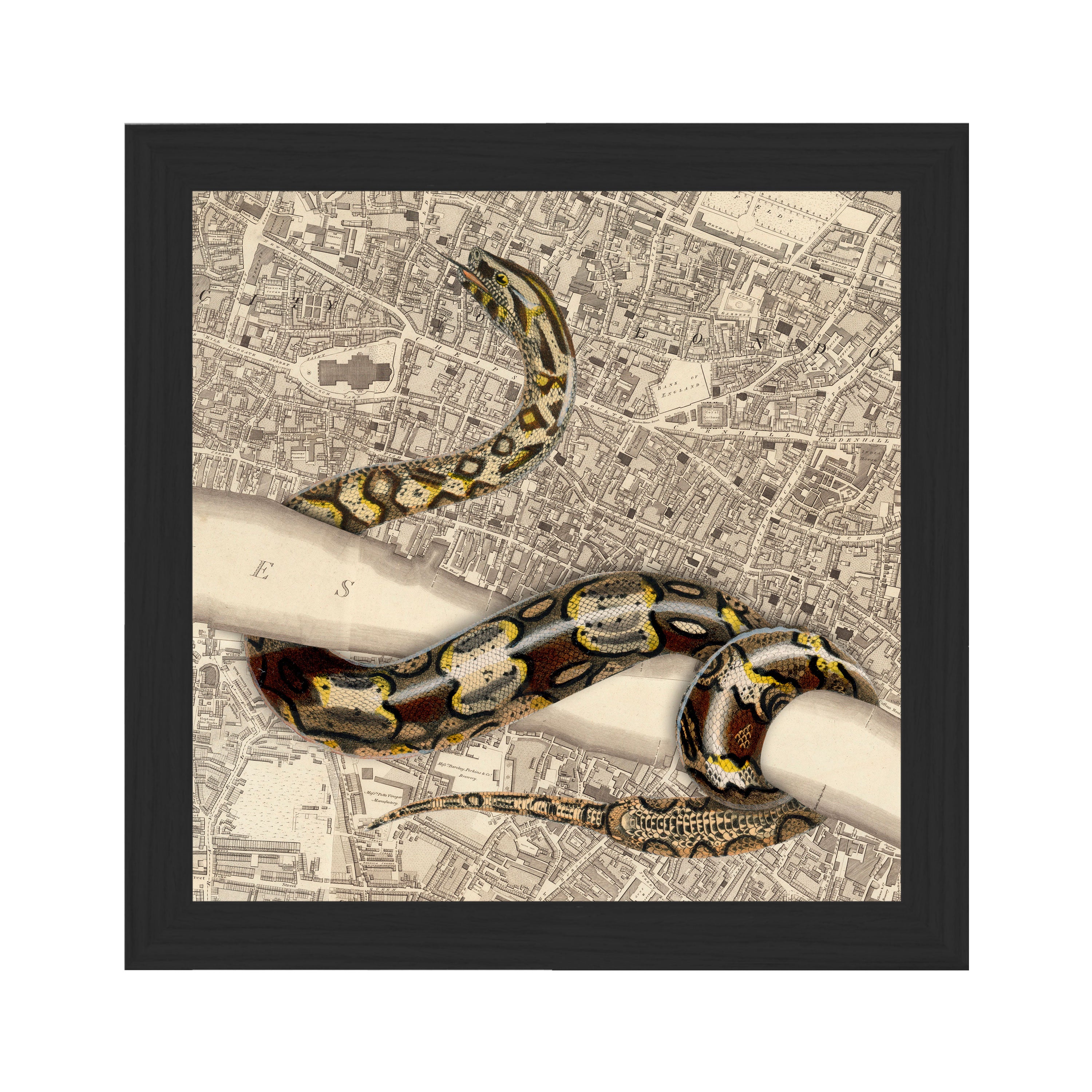 London Snake Collaged Map Art Vignette – Wendy Gold